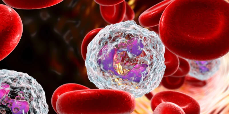 Qué son los basófilos y qué significa tenerlos altos o bajos - Blog ...