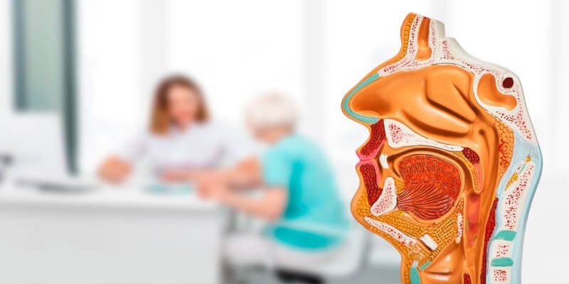 ¿Para qué sirve una laringoscopia? - Blog SaludOnNet
